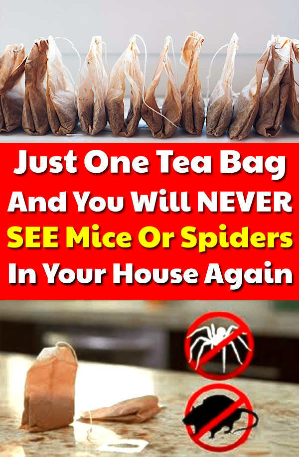 How to Use Tea Bags to Get Rid of Mice and Spiders ⋆ The Health Exchange