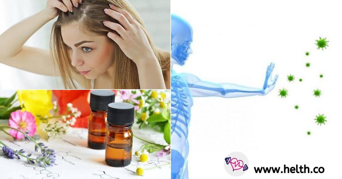 9 Watermelon Essential Oil Benefits You Should Know ⋆ The Health Exchange