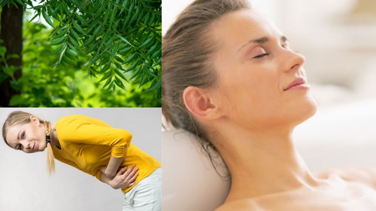 6 Effective Home Remedies for Period Rashes ⋆ The Health Exchange