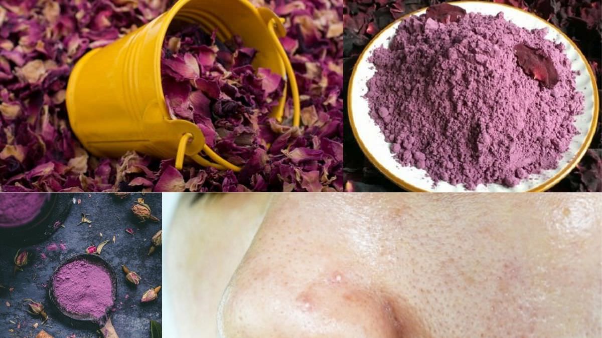 How to Make Rose Powder for Skin ⋆ The Health Exchange