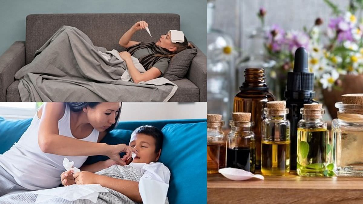 Essential Oil Blend for Fever | Best Essential Oil for Fever ⋆ The ...