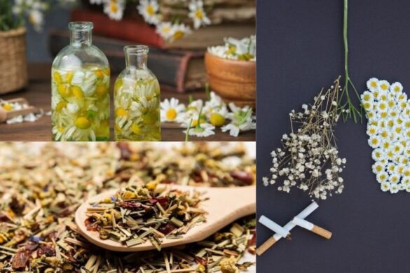 9 Clove Benefits for Men | How to Use Clove ⋆ The Health Exchange